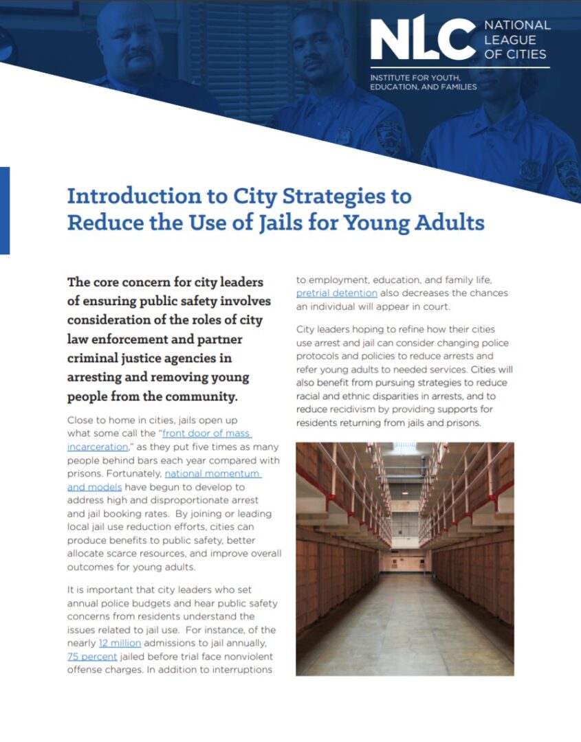 Introduction Strategies to Reduce the Use of Jails for Young Adults ...