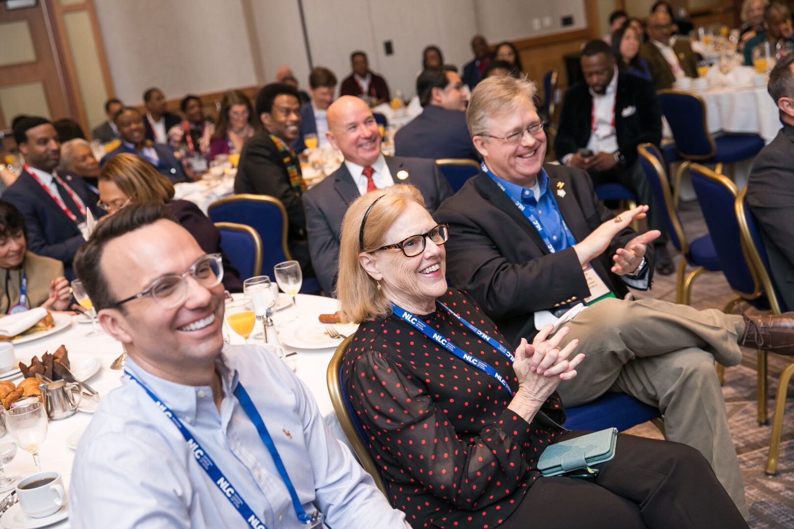 New Chairs and Vice-Chairs Elected to Member Councils - National League of Cities