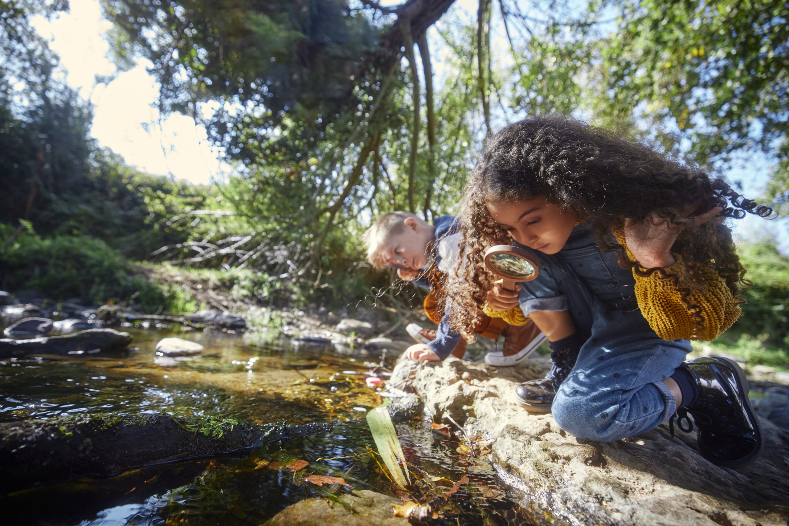 Why Cities Prioritized Equity and Children’s Access to Nature During A ...
