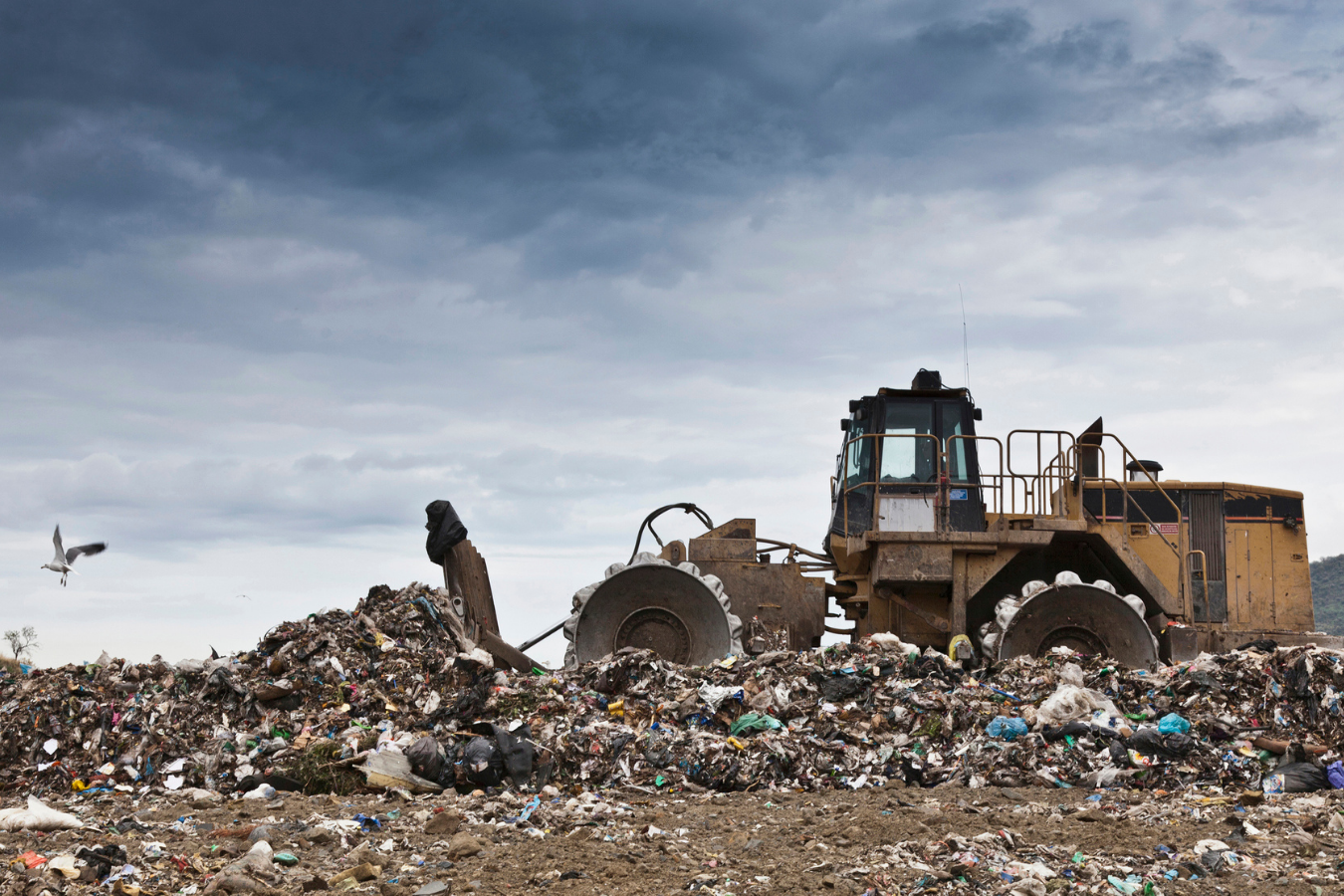 Turning a Burnsville Landfill into an Opportunity to Protect the Local ...