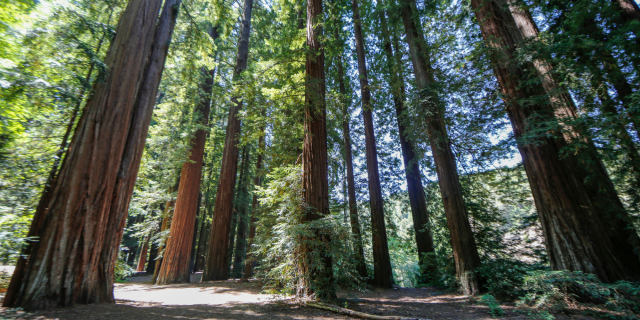 How Arcata is Creating an Inclusive and Equitable Culture of ...