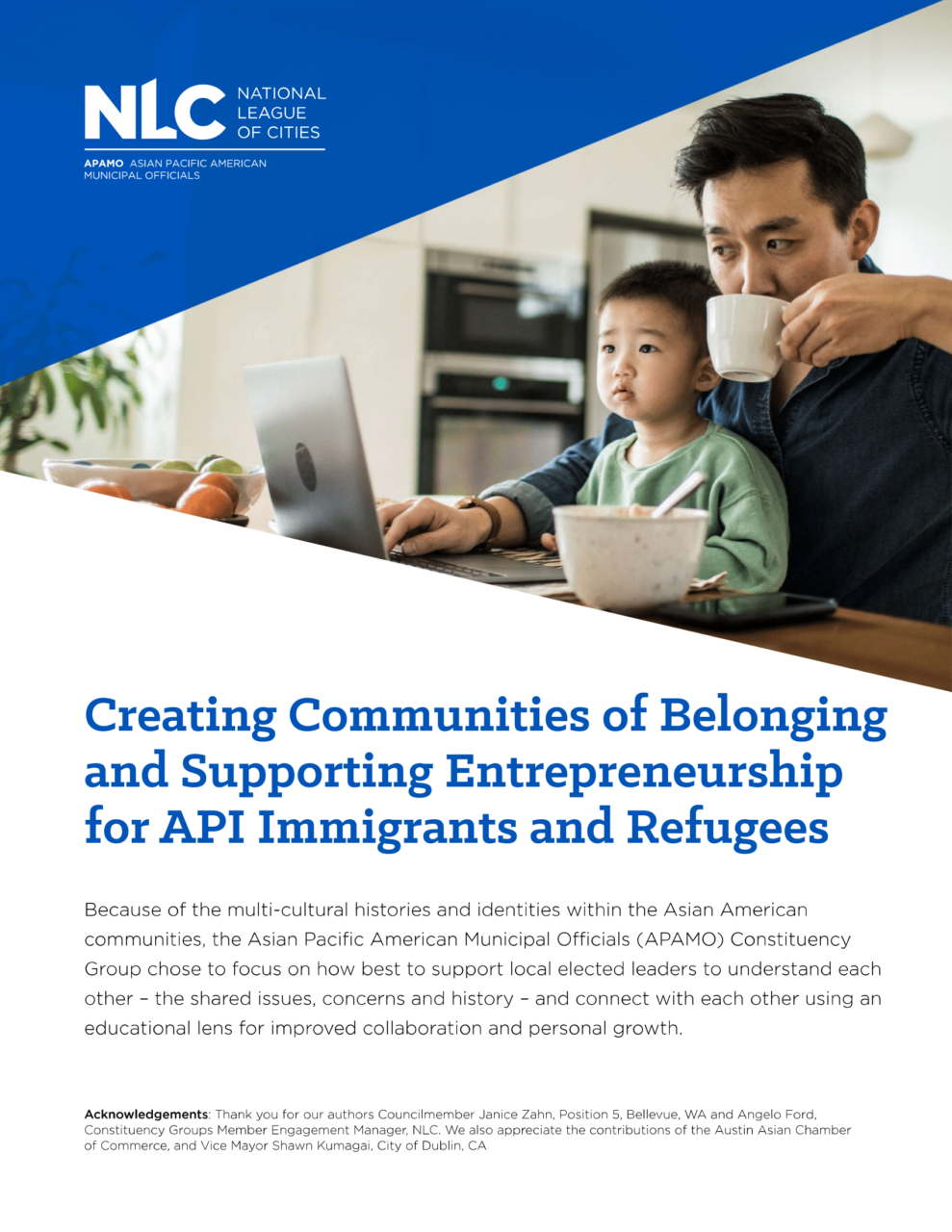 Creating Communities of Belonging & Supporting Entrepreneurship for API ...