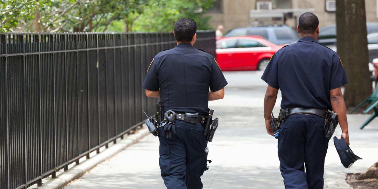 NLC Member Survey: Governing Local Public Safety and Law Enforcement ...