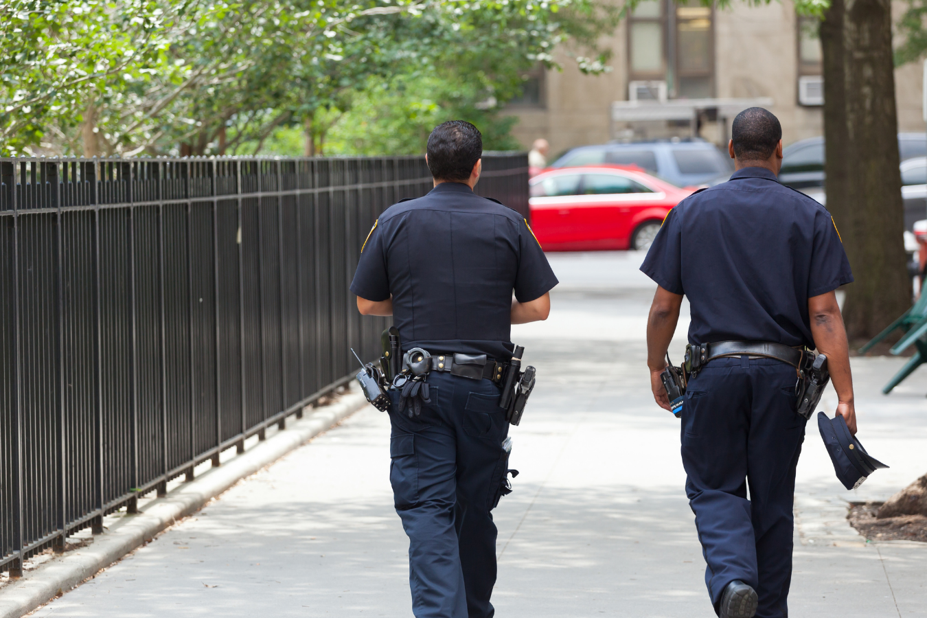 NLC Member Survey: Governing Local Public Safety and Law Enforcement ...