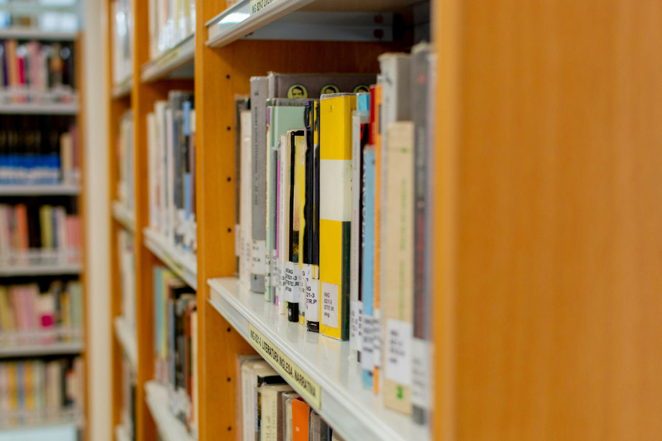 Connecting Communities: Libraries as Invisible Infrastructure ...