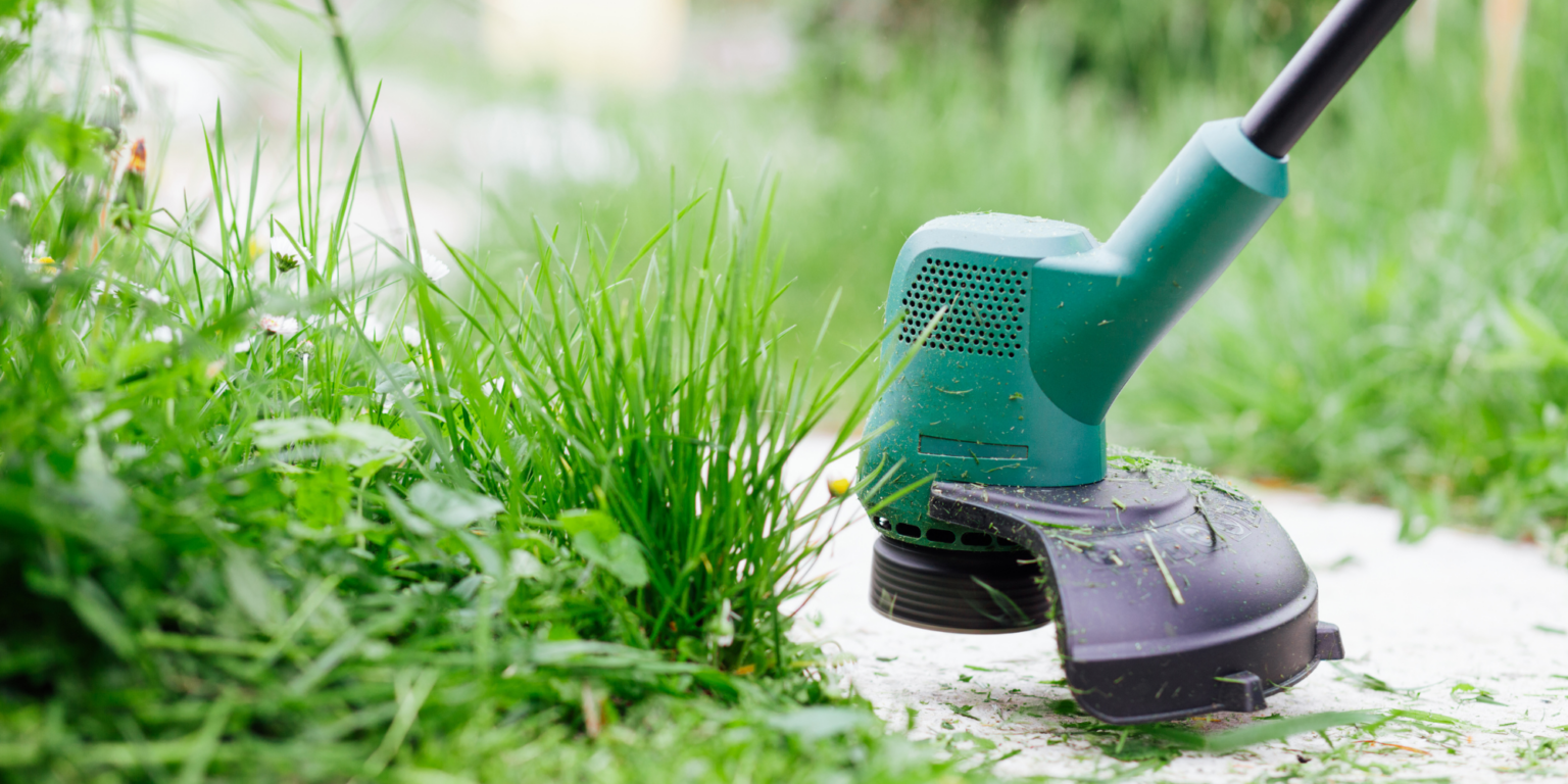 One Thing City Leaders Can Do to Support Electrification: Electric Lawn ...