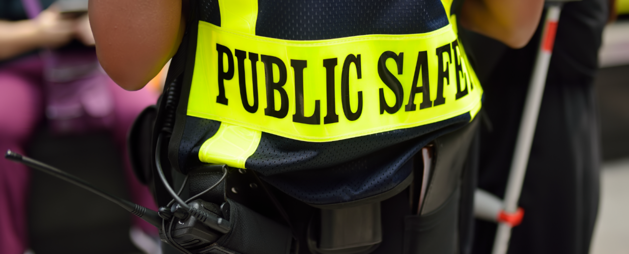 Safeguarding Tomorrow: Citywide Safety through Interagency ...