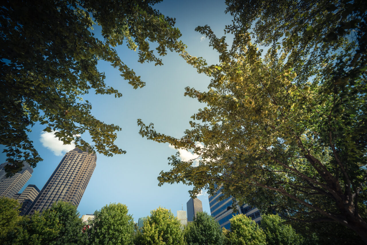 Leveraging Urban Tree Canopies to Unlock Community Resilience ...