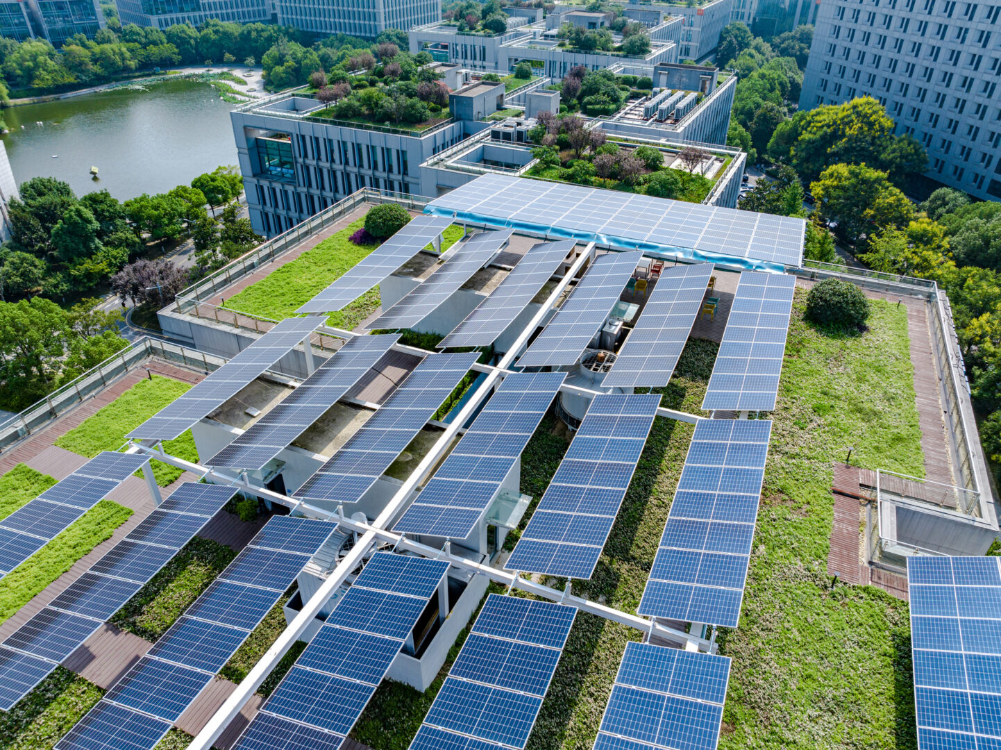 Leveraging Urban Tree Canopies to Unlock Community Resilience ...